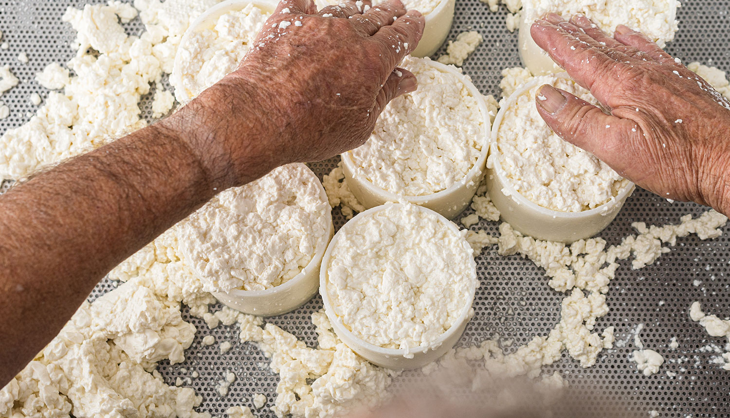 Quesos Artesanales - La Casa de los Quesos - Quesería Online