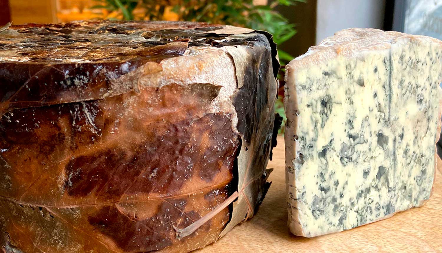 Proceso de Elaboración del Queso Valdeón - La Casa de los Quesos